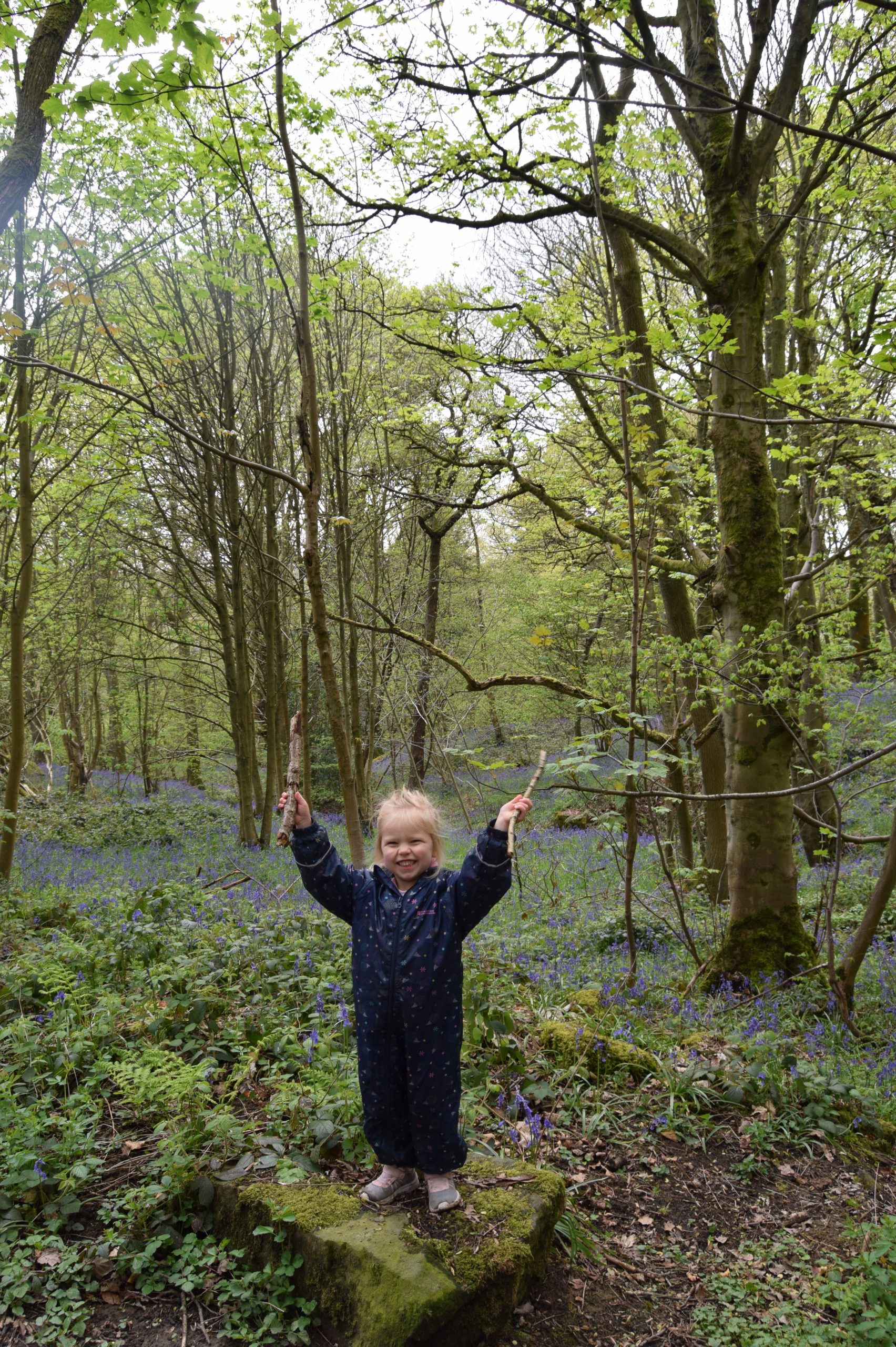 4km circular walk along Ilkley riverbank and through Middleton Woods ...
