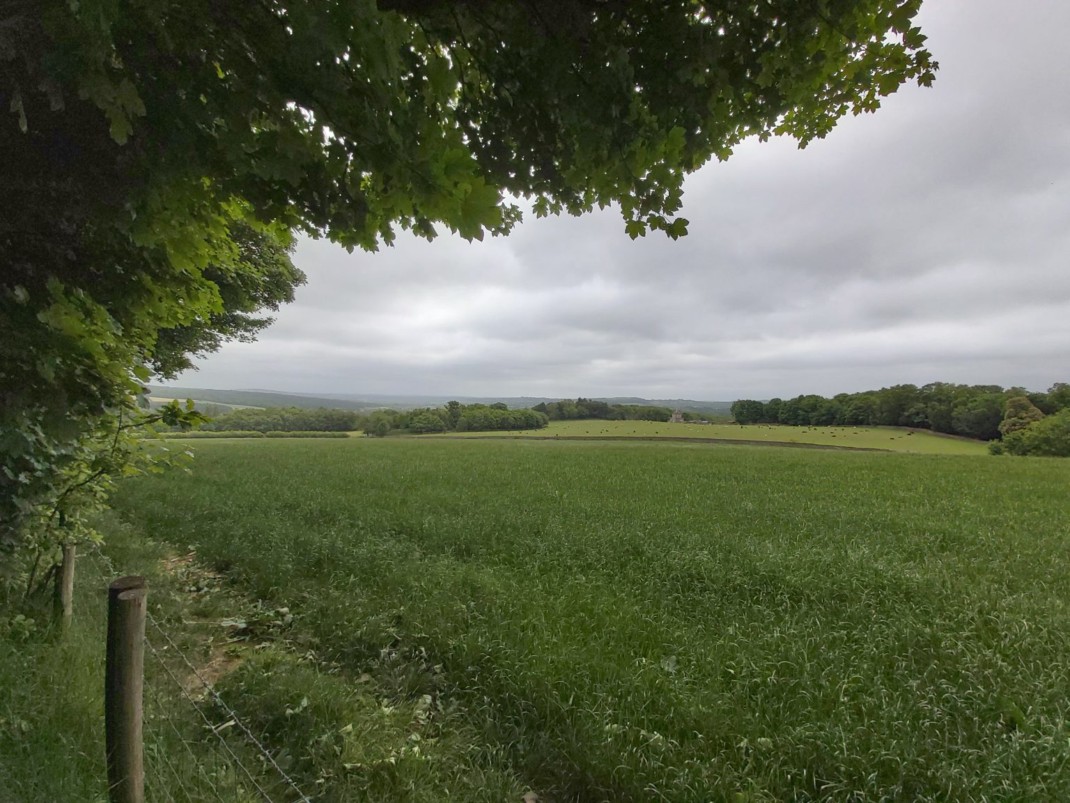 Deffer Wood and Cannon Hall Circular Walk (4km) - Muddy Boots Mummy