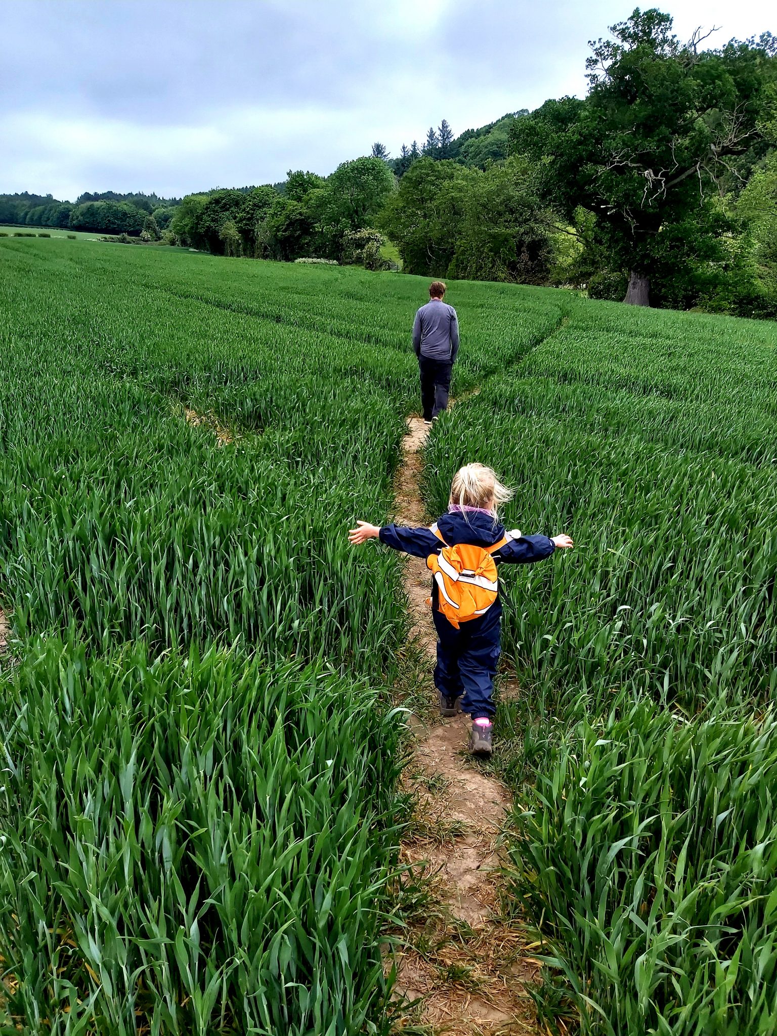 Deffer Wood and Cannon Hall Circular Walk (4km) - Muddy Boots Mummy