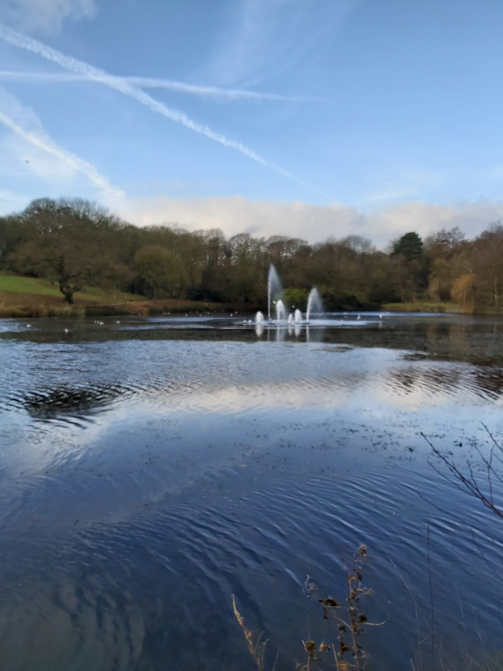 The Secret Gorge Walk at Roundhay Park, Leeds - Muddy Boots Mummy