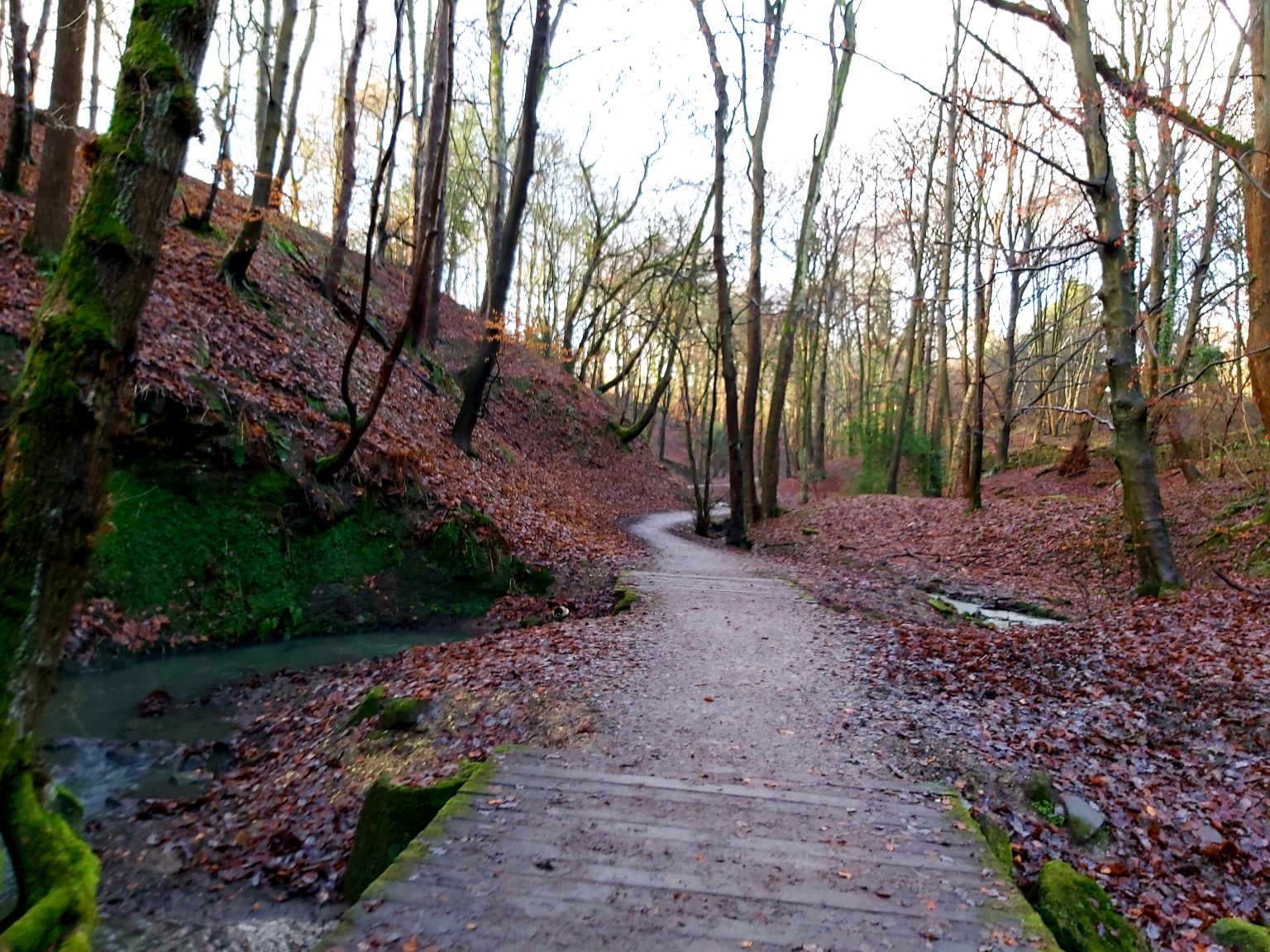 The Secret Gorge Walk at Roundhay Park, Leeds - Muddy Boots Mummy
