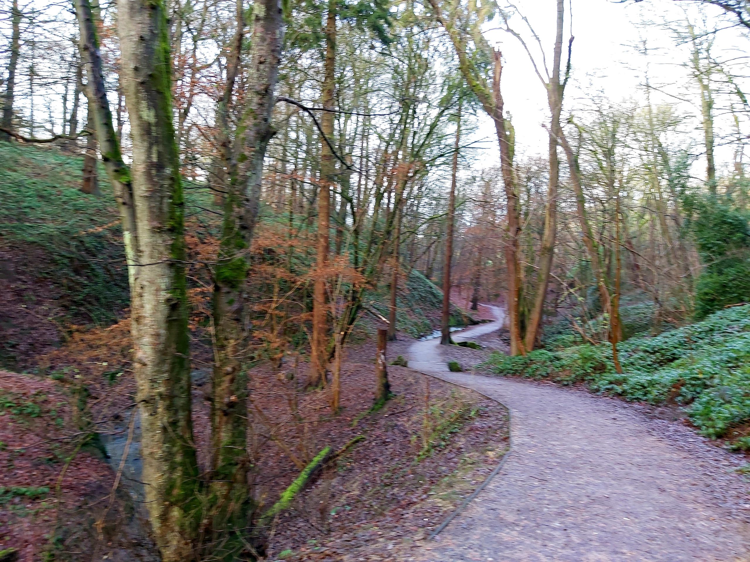 The Secret Gorge Walk at Roundhay Park, Leeds - Muddy Boots Mummy